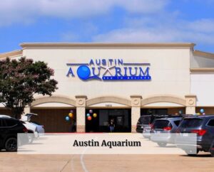 Austin Aquarium - GALF Austin